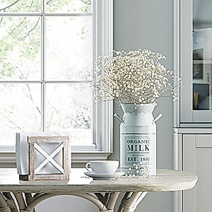 Barnyard Designs Decorative Milk Can Rustic Primitive French Country Home Decor 11” x 6”