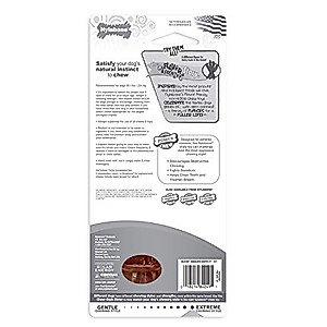 Nylabone Flavor Frenzy Power Chew Dog Toy Beef Jerky X-Large/Souper (1 Count)