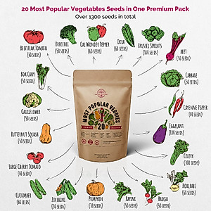 20 Vegetable Non-GMO Heirloom Seeds for Planting Vegetables and Fruits - Seed Packets in Home Survival Garden Seeds Variety Pack for Hydroponic and Outdoor Planting, Semillas de Vegetales Para Sembrar