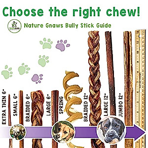 Nature Gnaws Small Bully Sticks for Dogs - Premium Natural Beef Bones - Thin Long Lasting Dog Chew Treats for Light Chewers & Puppies - Rawhide Free - 6 Inch (5 Count)