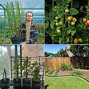Legigo 4ft 4-Pack Tomato Cage for Garden Plant Support- Up to 48inch Garden Stakes Tomato Cage, Tomato Trellis for Potted Plants, Tomato Cages Plant Stakes for Climbing Vegetables Plants Flowers