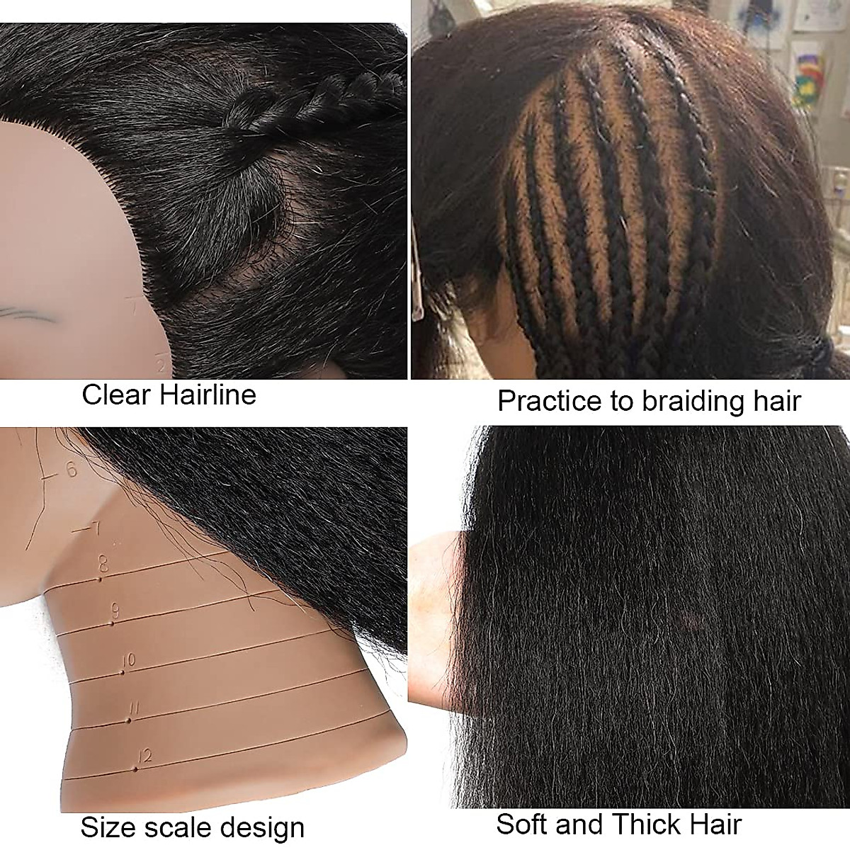 "N/A" Mannequin Head Human Hair 100% Real Hair Mannequin Head Doll Head for Hairdresser Practice Styling Cosmetology Manikin Head Hair with Free Clamp Stand (14 inch, D-L)