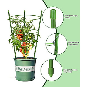 4 Pack Garden Plant Support Tomato Cage, Upgrade 24" Trellis for Climbing Plants, Plant Trellis Kits with 4 Self Watering Spikes and 20 Plant Clips (24")