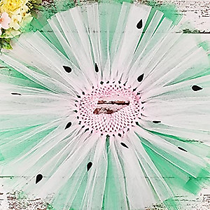 Gouldianfinch Infant Baby Girls 1st Birthday Outfits Watermelon Printed Romper + Tutu Skirt Toddler Princess Dress(Pink,12-18Months)