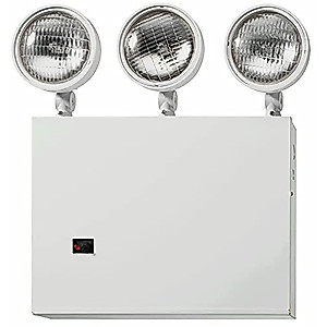 3-Lamp New York City Emergency Light