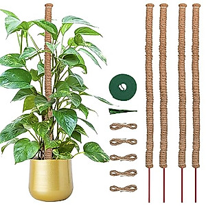 Whonline Moss Pole, 4 PCS 27 Inches Plant Sticks Support, Plant Stakes for Indoor Plants, Monstera, Pothos