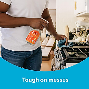 ECOS® All Purpose Cleaner, Orange, 22oz Bottle by Earth Friendly Products (Pack of 2)