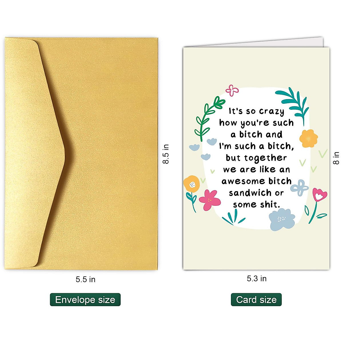 Best Friend Birthday Card, Funny Birthday Card for Bestie Sister, Friendship Card for Women Lady Girl, Thinking of You Card, Bitch Sandwich