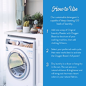 Molly's Suds 2-in-1 Original Laundry Powder with Oxygen Brightener Boost | Clean Laundry Detergent & Stain Remover | Peppermint with Hint of Lemon, 120 Loads