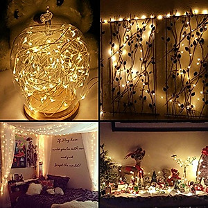 Daily-Necessities Battery Operated String Lights, 33ft 100 LED String Lights Dimmable with Remote Control for Outdoor, Bedroom, Garden, Christmas, Party, Wedding (Waterproof, Copper Wire, Warm White)
