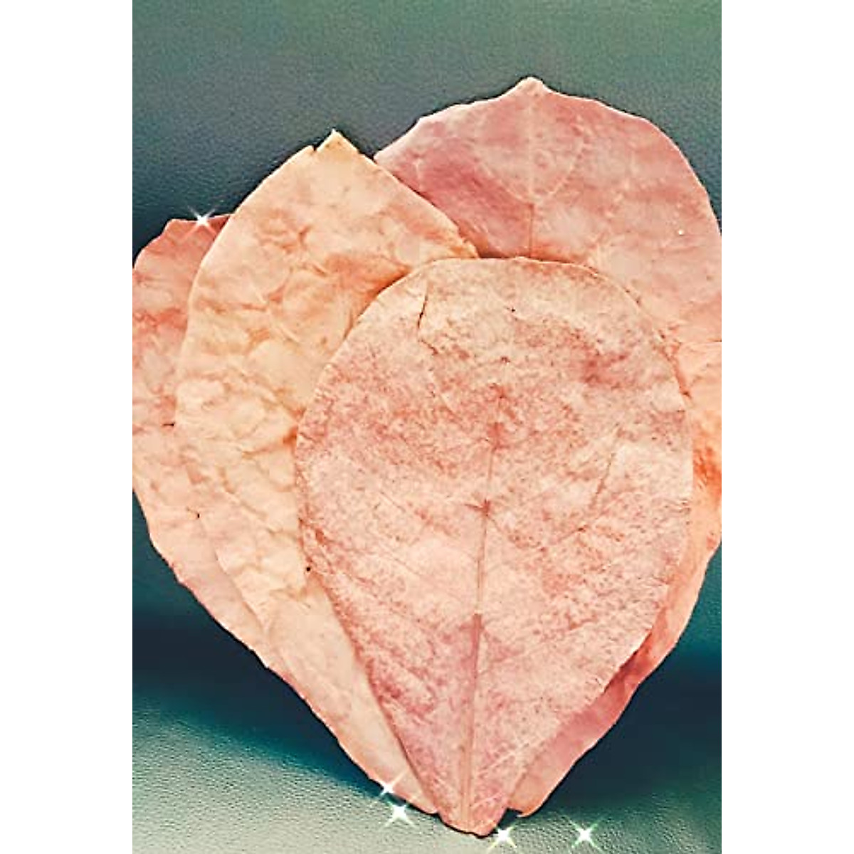 Pufa Great Emperor shop Premium Indian Almond Leaves Medium Catappa for Betta Fish & Shrimps|Best / Shrimp |Indian Almonds Naturally sourced Help Boost immunity 65g.