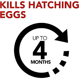 Raid Flea Killer 16 OZ (Pack of 3)