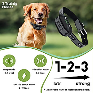 GPS Wireless Dog Fence, Electric Dog Collar Fence, Range 65-3281ft, Adjustable Warning Strength, Rechargeable, Pet Containment System, Harmless and Suitable for All Dogs(2023 New Model for 2 Dogs !)