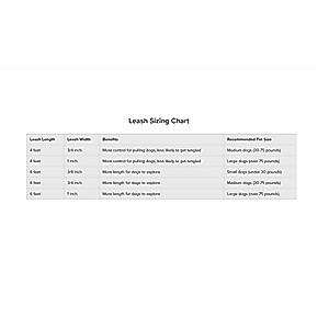 PetSafe Nylon Dog Leash - Strong, Durable, Traditional Style Leash with Easy to Use Bolt Snap - 3/4 in. x 6 ft, Raspberry Pink