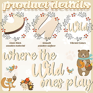 5 Pcs Playroom Wall Decor 15.4" x 18" 3D Where The Wild Ones Play Nursery Sign Wooden Wall Art Decoration for Kids Toddler Room Decor Boys and Girls Home Kindergarten Bedroom Word Sign