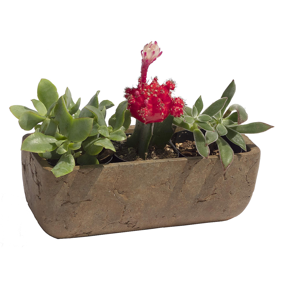 Classic Home and Garden 240001P-433 Dakota Trough, Rust, Large
