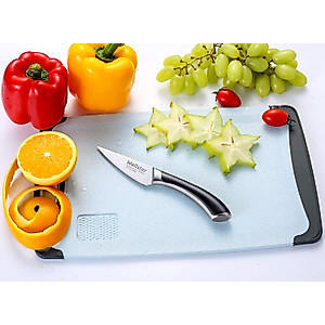WELLSTAR Paring Knife, 3.5 Inch Fine Edge Fruit Peeling Knife with Super Sharp German Stainless Steel Forged Blade and Full Tang Handle, C-Style Series