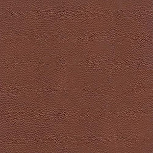 Hydeline Maui 100% Leather Loveseat, Cinnamon Brown
