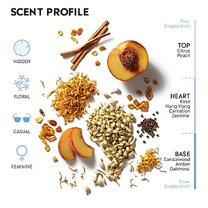 Stetson Lady Stetson by Scent Beauty - Perfume for Women - Feminine, Fierce, Woody, and Heady Scent with Fragrance Notes of Peach, Rose, and Sandalwood - 1.0 Fl Oz