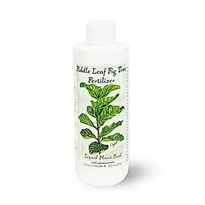 Fiddle Leaf Fig Tree Fertilizer | Ficus Plant Food | Improves Leaves and Branches | Potted Indoor Trees and House Plants Treatment by Aquatic Arts