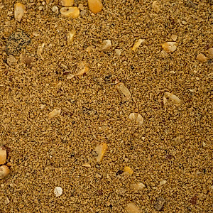 BACKWOODS ATTRACTION Gamechanger - Wildlife Attractant - 40 Pound Bag