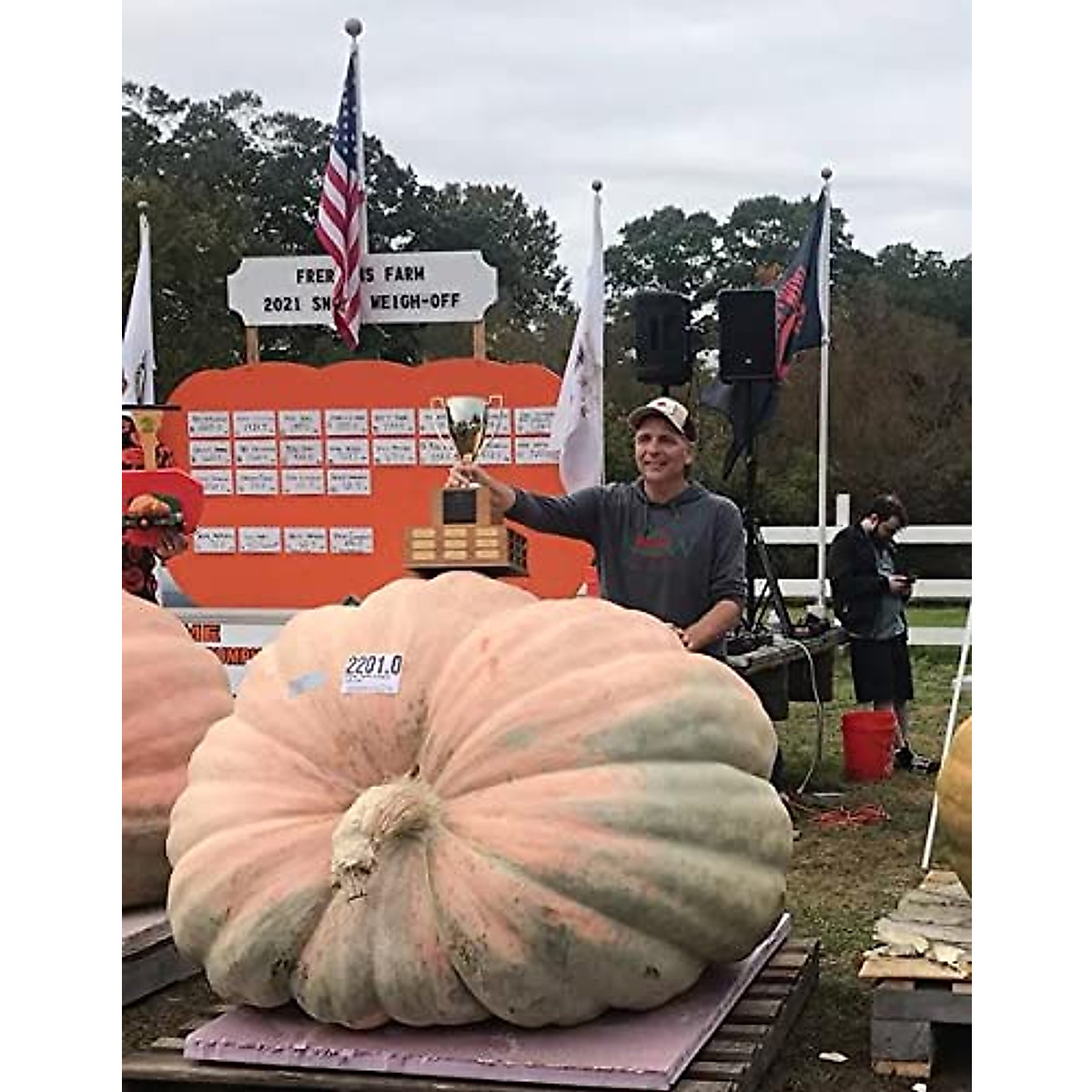 Ron Wallace's Whoppers Giant Pumpkin Seeds (5 Seeds per Package)