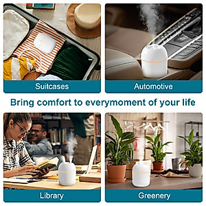 Portable Small Humidifier, USB Personal Desktop Humidifier for Car, Office Room, Bedroom, Auto Shut-Off, 2 Mist Modes, Super Quiet(220ml, White)