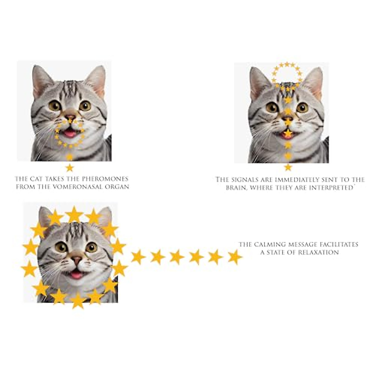 Adjustable Collar with Powerfull pheromones for Cats, relieves Anxiety, Brings Calm and Reduces Stress in Your pet for 30 Days, 1 Unit FEROGATOS