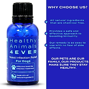 HealthyAnimals4Ever All-Natural Yeast Protection for Dogs - Effective Homeopathic Support for Yeast Infections - Preventive Care for Skin and Ear Health - 300 Dog Yeast Defense Tablets