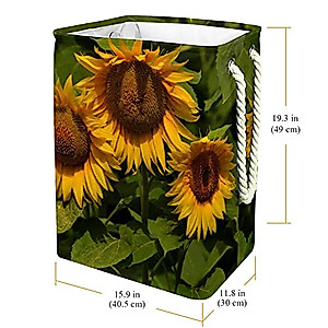 Inhomer Sunflower Three Flower Plant Supplies Yellow Large Laundry Hamper Waterproof Collapsible Clothes Hamper Basket for Clothing Toy Organizer, Home Decor for Bedroom Bathroom