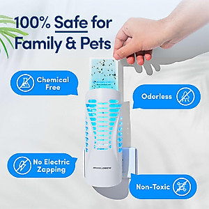 Shieldeck BuzzTrap Refills - 8-Pack Sticky Pads - Indoor Flying Insect Trap - Plug-in Fly, Fruit Fly, Gnat, and Mosquito Trap (8 Refills - No Device)