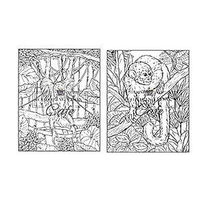 100 Wildlife Scenes: An Adult Coloring Book Featuring 100 Most Beautiful Wildlife Scenes with Animals, Birds and Flowers from Oceans, Jungles, Forests and Savannas