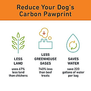 Jiminy's Cricket Treats - Chewy Hypoallergenic Dog Treats, 100% Made in The USA , Cricket Dog Treats, Gluten-Free, Sustainable, All Natural Dog Treats, High Protein - Pumpkin & Carrot, 6oz Bag