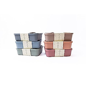 Spoondrift Eco-Friendly Leak Proof Silicone Bento Box Lunch Box, For Child And Adult, 4 Compartment, Choose from 6 Colors, Includes one box (Sage)