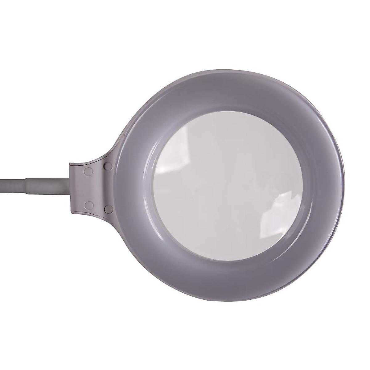 Mighty Bright The Original Rechargeable LED Floor Light and Magnifier Lamp, 59 Color-Adjustable LEDs, Warm Eye-Care Light to Bright-White Light, 5” 2X Magnifier, 5X Bifocal, Extra Bright and Dimmable