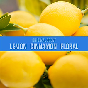 Ozium® 8 Oz. Air Sanitizer & Odor Eliminator for Homes, Cars, Offices and More, Original Scent - 3 Pack