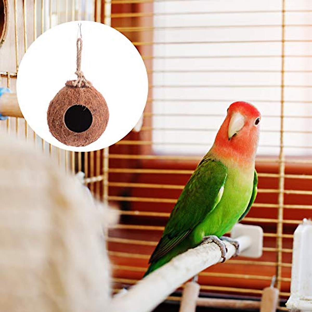 balacoo Coconut Bird House Hanging Natural Coconut Shell Bird Nest Bird Breeding Nest for Parakeets Budgerigar and Small Pet