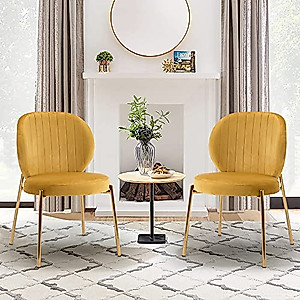 DAGONHIL Velvet Dining Chair,Upholstered Vanity Chairs with Golden Metal Leg,Set of 4(Yellow)
