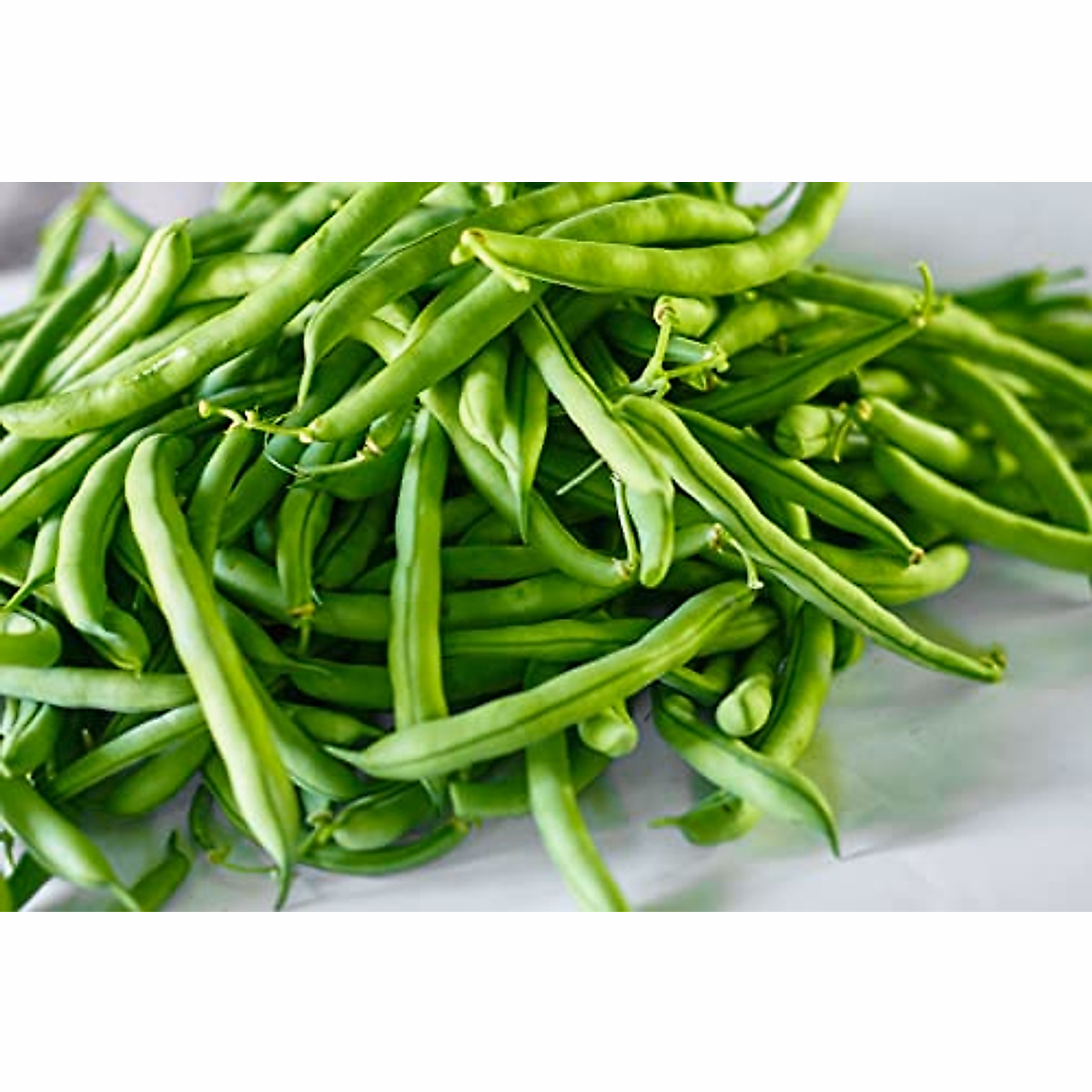 "Kentucky Blue" Pole Bean Seeds for Planting, 30+ Heirloom Seeds Per Packet, Non GMO Seeds, (Isla's Garden Seeds), Botanical Name: Phaseolus vulgaris, Great Home Garden Gift
