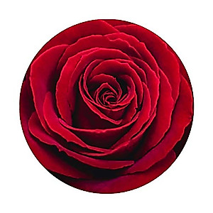 Red Rose Flower Floral PopSockets Swappable PopGrip