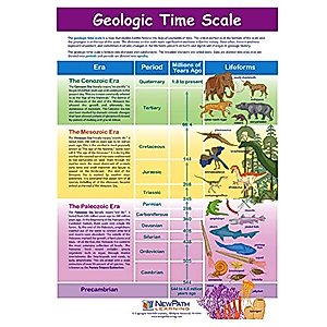 NewPath Learning-947122 Geologic Time Scale Visual Learning Guides, Set/5-4-Panel, 11" x 17" Laminated Guides, Full-Color Graphic Overview, Write-On/Wipe-Off Activities