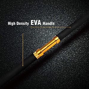 Fiblink Saltwater Offshore Trolling Rod 2 Piece Fishing Roller Rod Big Name Conventional Boat Fishing Pole with Roller Guides (30-50lb,5'6")