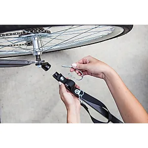 Schwinn Daytripper Cargo Trailer for Bike, 100 lbs. Max Weight Capacity, Collapsible Frame With Quick-Release Wheels, Air-Filled Tires, Red/Grey