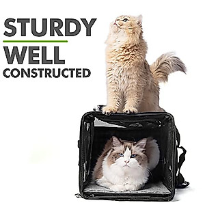 EXPAWLORER Large Cat Carrier for 2 Cats, Soft-Sided Pet Carrier for Cat,Top Load Cat Carriers for Medium Cats Under 25,Airline Approved Pet Travel Bag Fit 2 Kitties Small Dogs