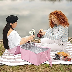 iplusmile Insulated Food Delivery Bag Insulated Grocery Bag Cooler Bag Drink Carriers Beverages Grocery Pizza Commercial Quality Hot and Cold