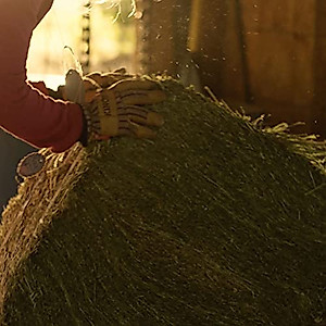 Blue Mountain Hay Organic Bedding Straw (3lb) Natural Animal Bedding Straw for Guinea Pigs, Chinchillas, Rabbits, Hamsters, Chickens, Feral Cats & Chicken Coops | Pet Bedding Straw | Pet Shelters