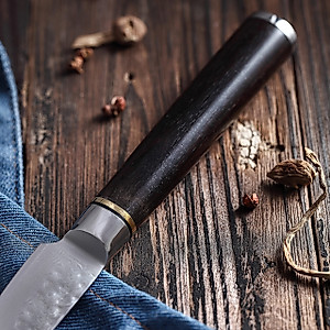 SHIRKHAN Damascus Paring Knife 3.5 Inch - Ultra Sharp Japanese Kitchen Fruit Knife - 67 Layers High Carbon Hand Hammered Steel Blade 10Cr15CoMoV - Ergonomic Ebony Wood Handle - Gift Box