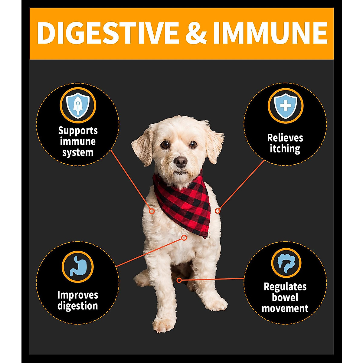 Charm Squeezable Paste Probiotic Vitamins Supplement for Cat & Dog- for Digestion, Diarrhea, Constipation Allergy, Hair Balls, Acts As Stool Softener- Suitable for Over 3 Mth Old Senior (Salmon)