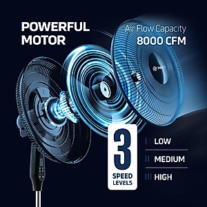 NEXAIR Oscillating 16 Inch Pedestal Stand Up Fan, Quiet Operating Room Fan With Remote Control, 3 Speed Stand Fan for Bedroom, with Adjustable Height, Standing Fan Great For Office & Living Room…