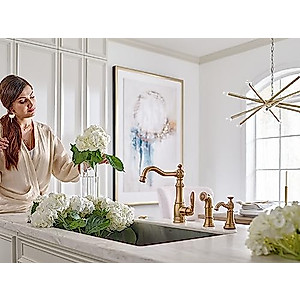 Moen Brushed Gold Sip Traditional Cold Water Kitchen Beverage Faucet with Optional Filtration System, S5510BG
